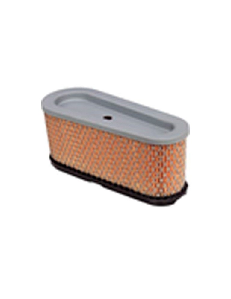 FILTRO AIRE B&S COMP.12,5 -15HP W-2568, 02-293, 496894, 493909, 691642